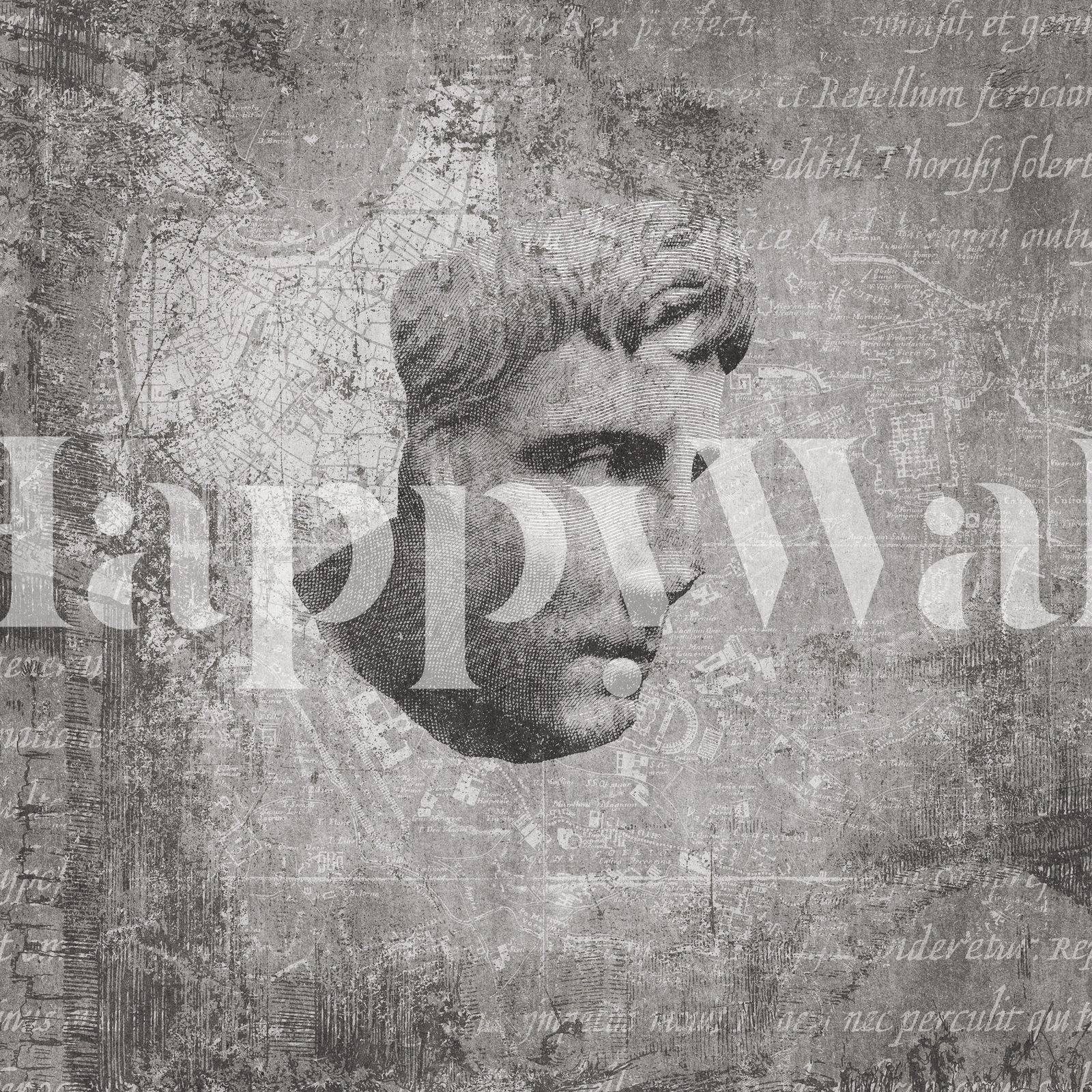 Ancient Augustus Wallpaper with Gray Texture