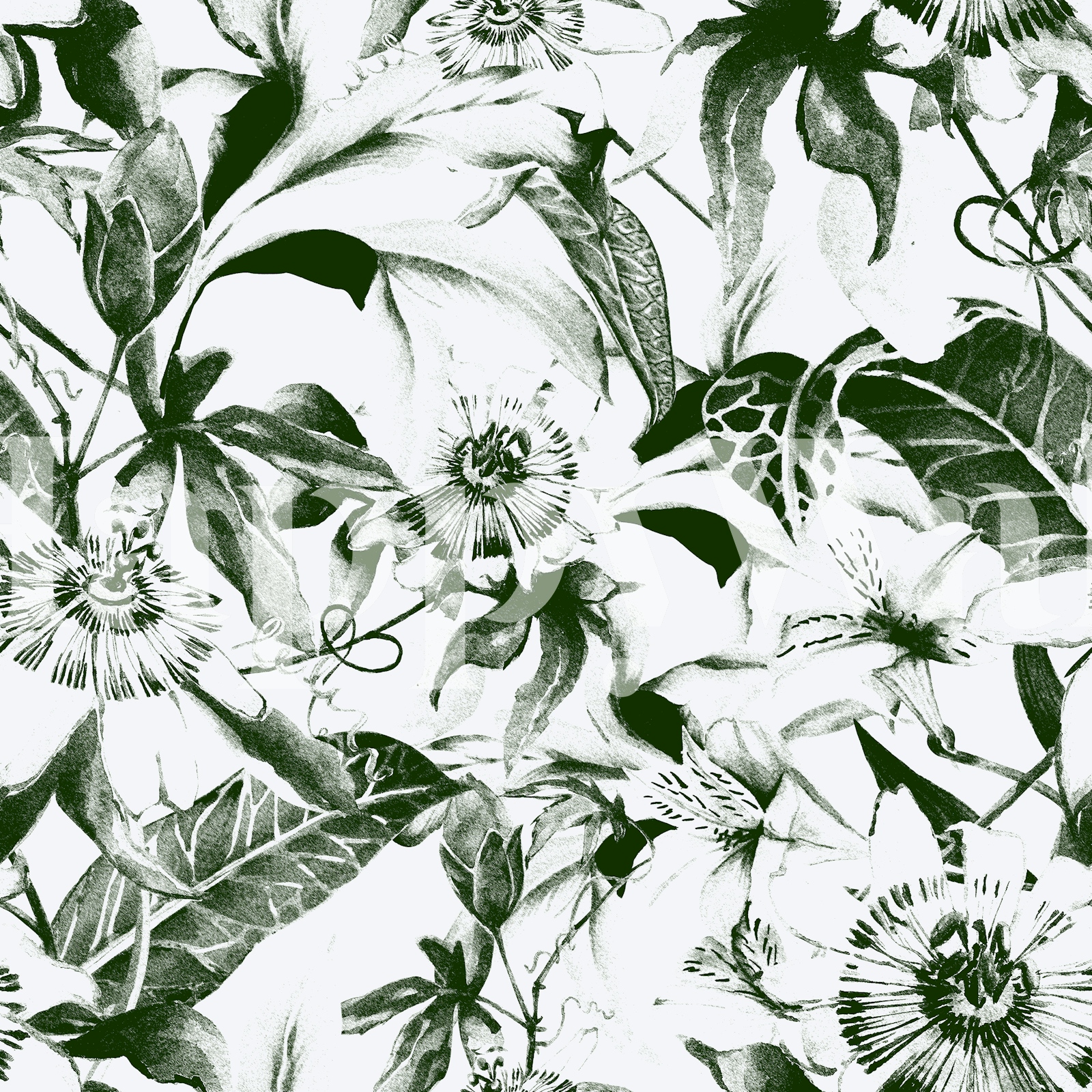 Monochrome Blossom Theme Wallpaper | happywall.com