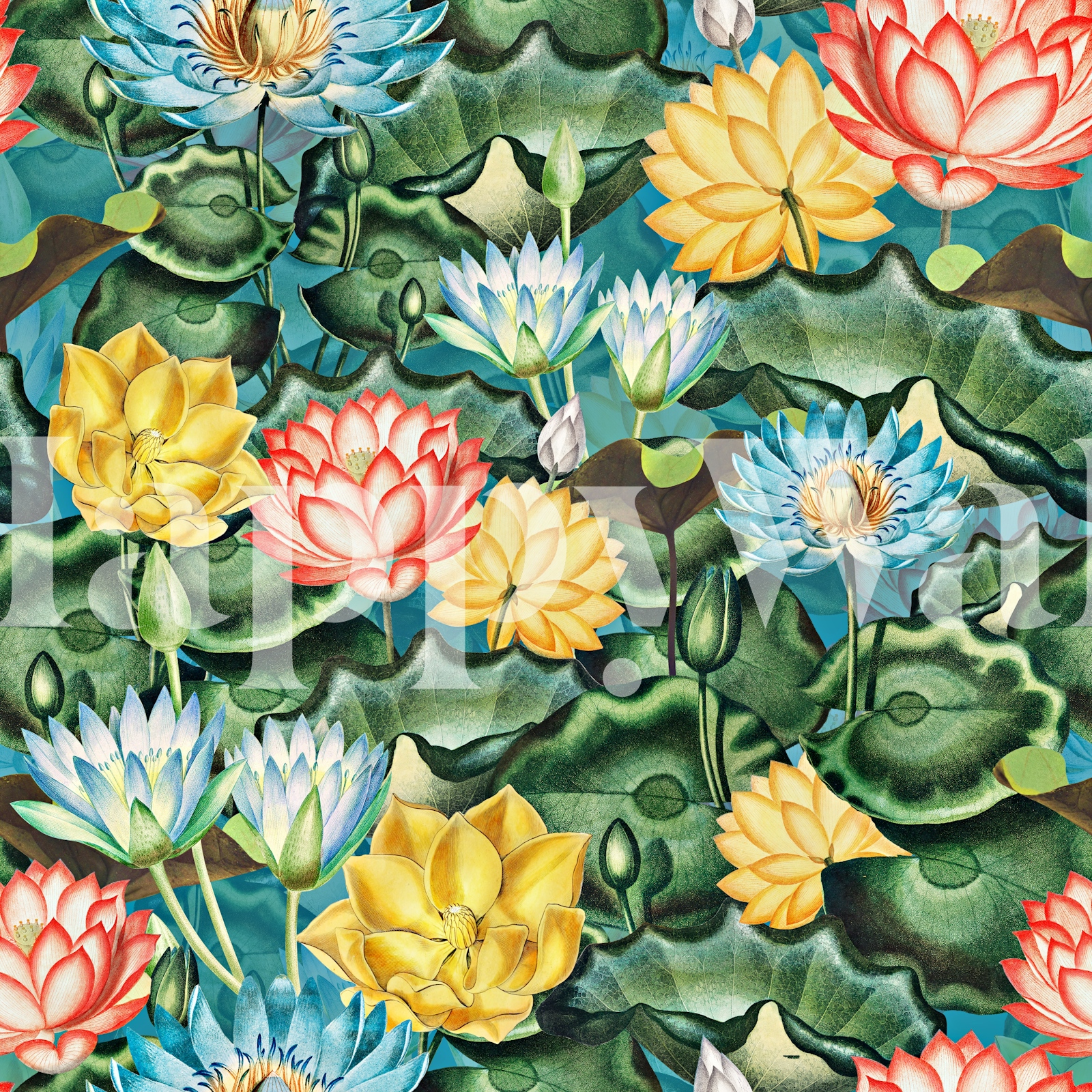 Serene Lotus Oasis - Happywall