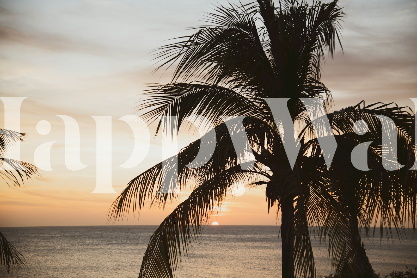 Golden Hour Tropical Beach Wallpaper