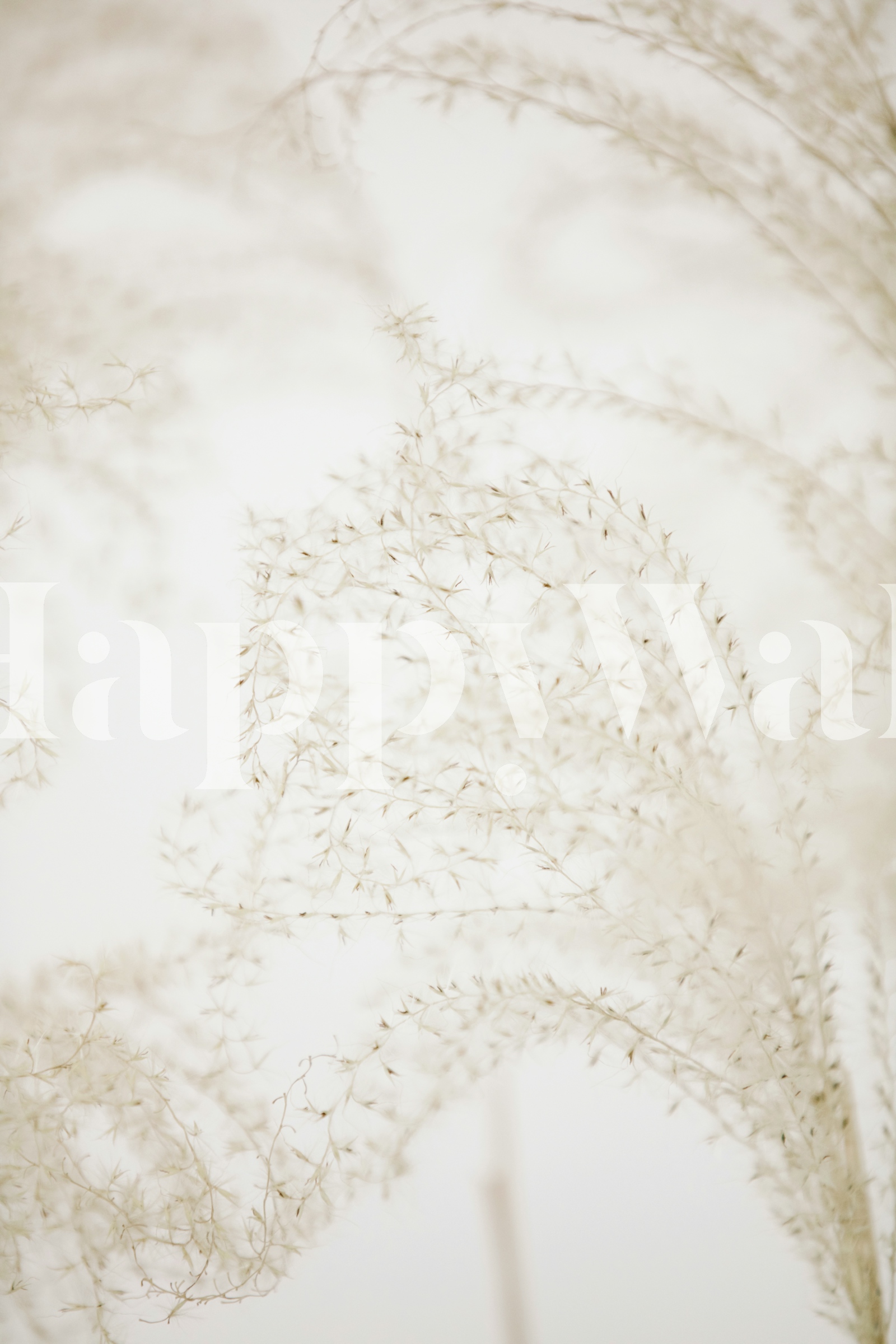 Soft Foliage White Grass Wallpaper