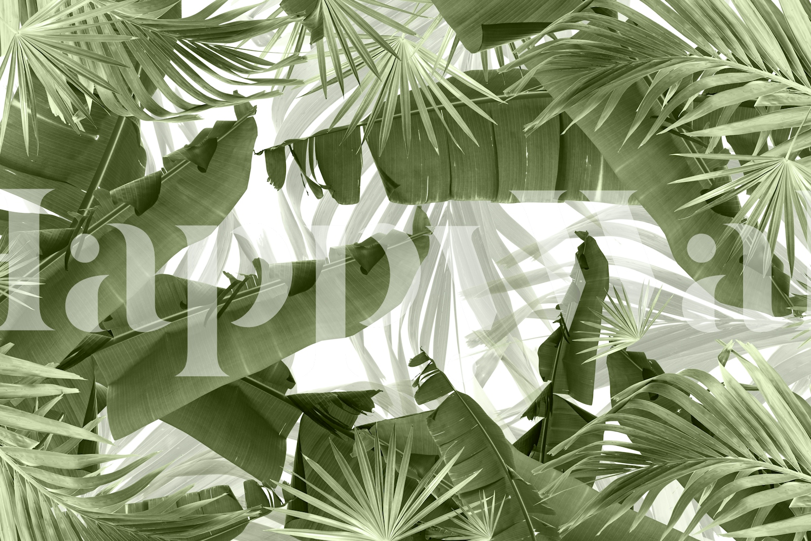 Green Palm Banana Leaves Bliss 1 Wallpaper