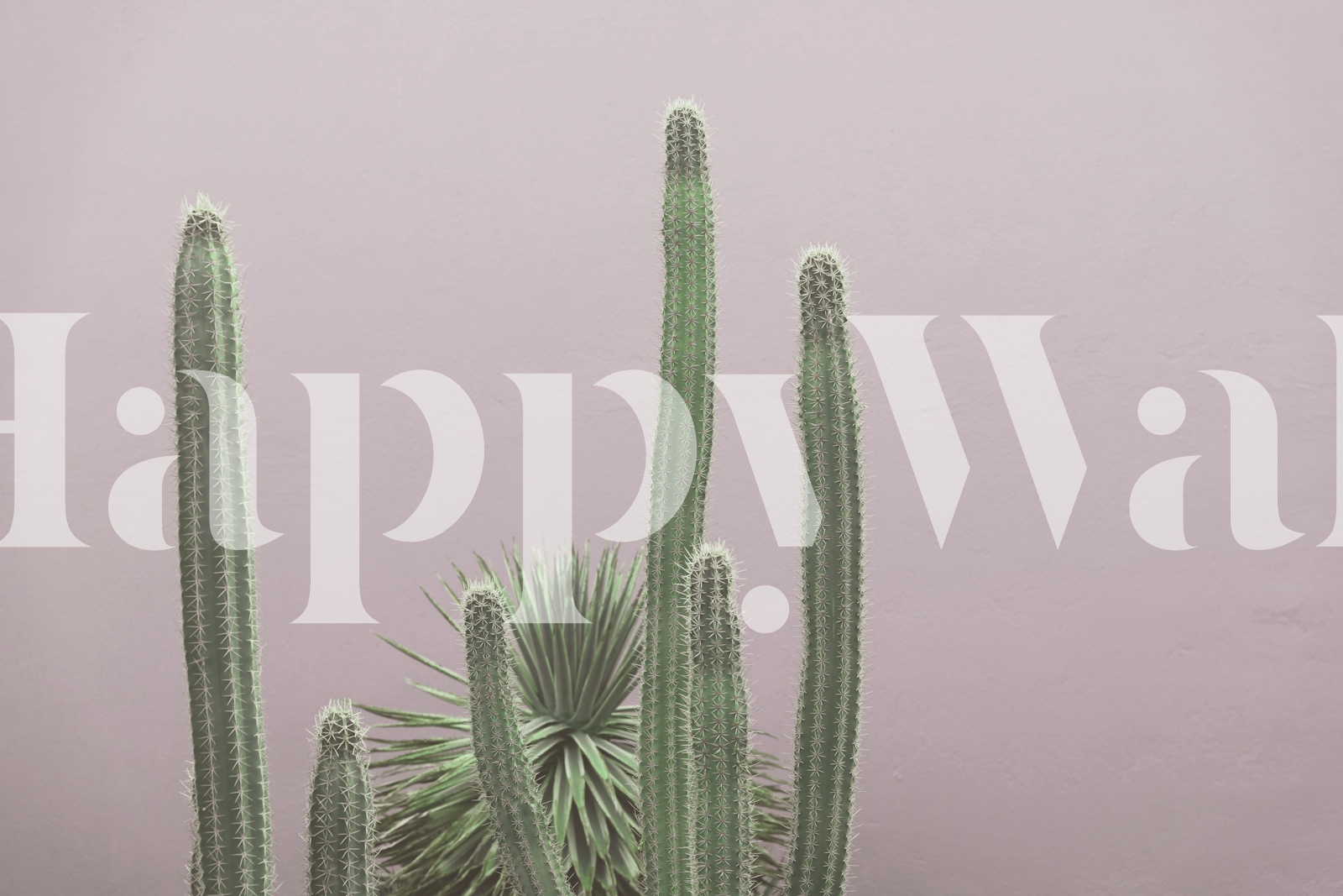 Caribbean Cactus Grove Charm 3 - Wallpaper