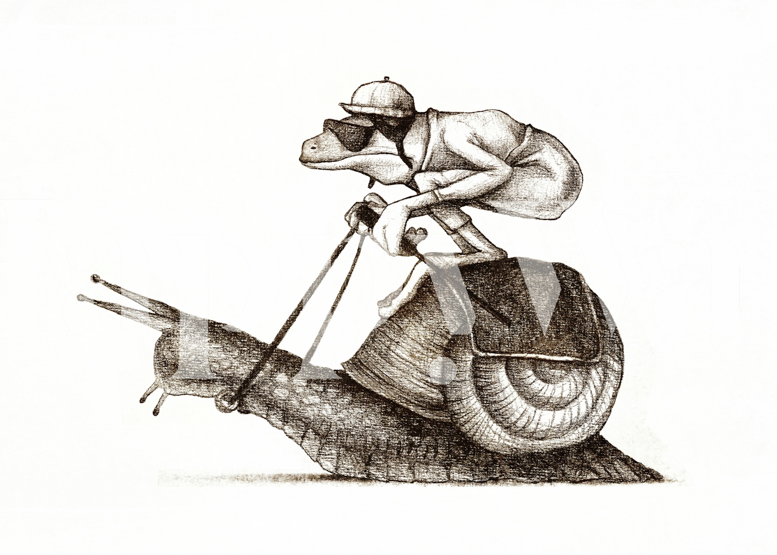 Snail Racing Black and White Wallpaper