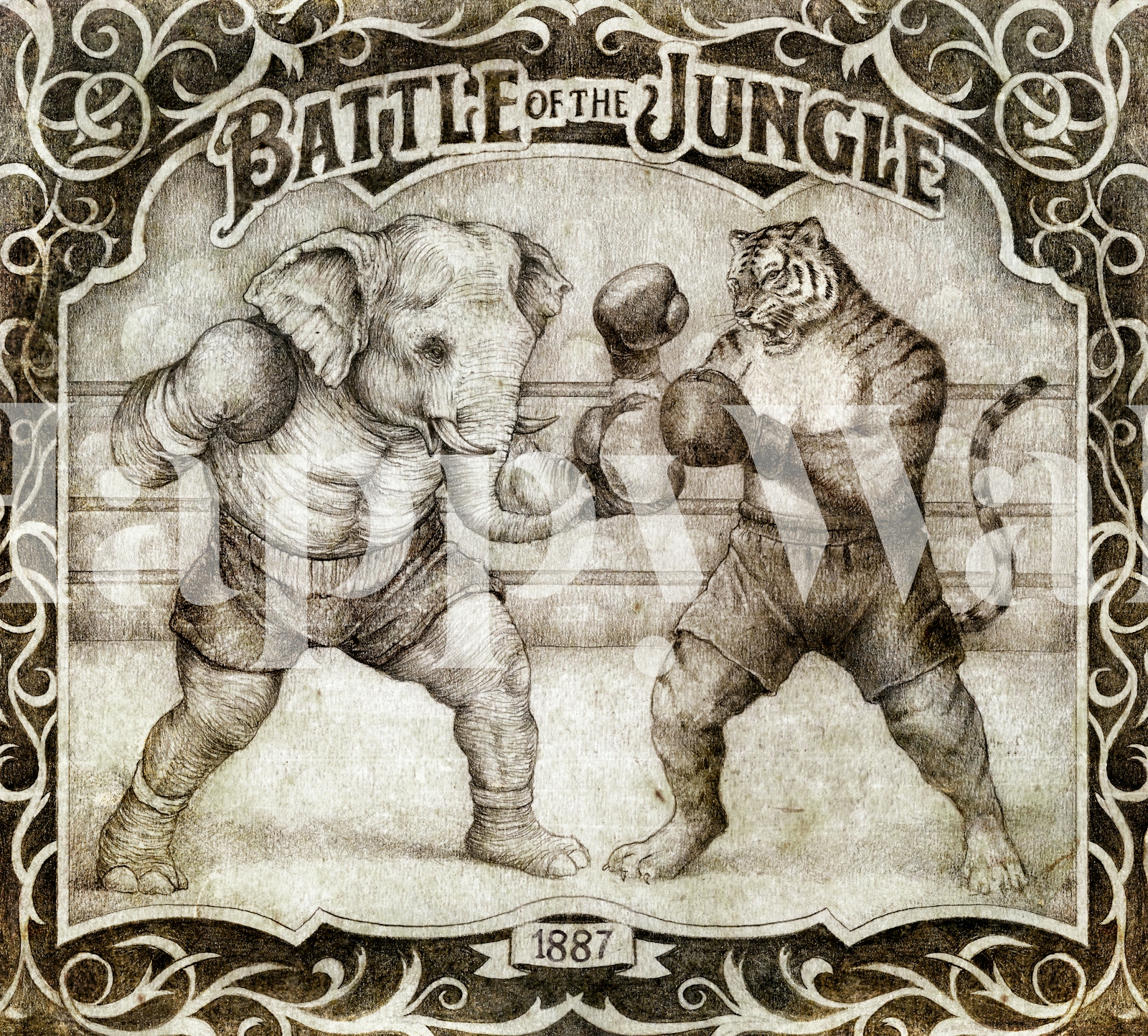 Battle of the Jungle Wallpaper | Happywall.com