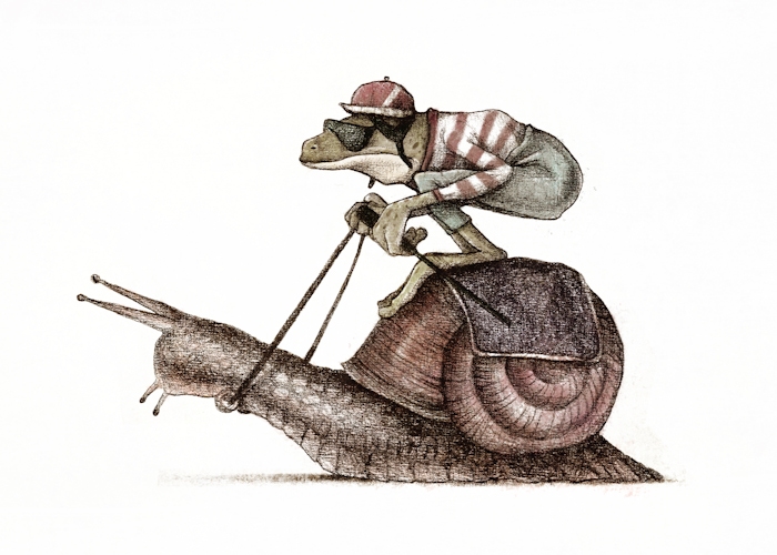 Whimsical Snail Racing Wallpaper
