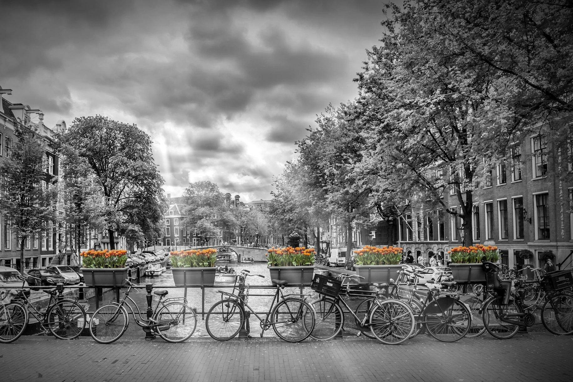 Buy Typical Amsterdam Wallpaper | Happywall