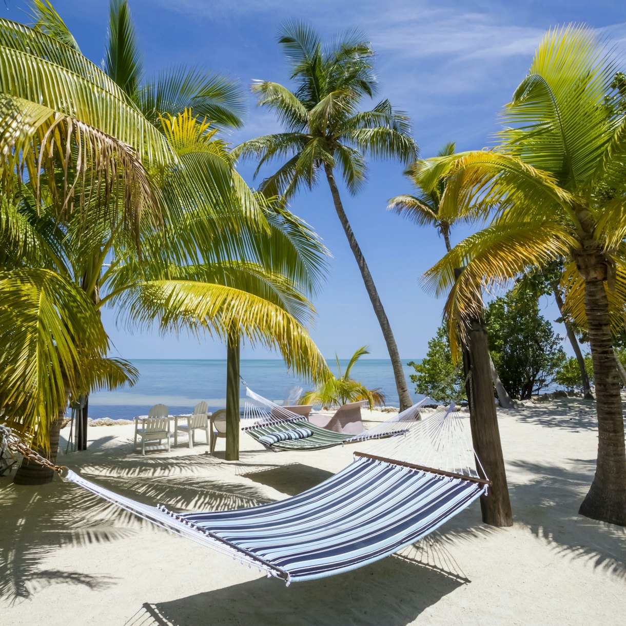 Florida Keys Wellness Wallpaper | Happywall