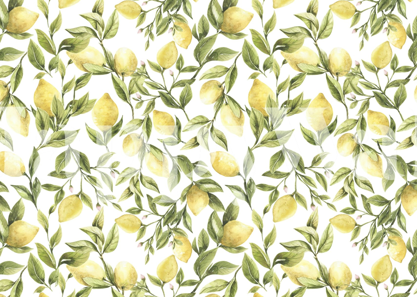 Lemon Pattern Wallpaper | Buy Lemon Print Wallpapers Online | Happywall