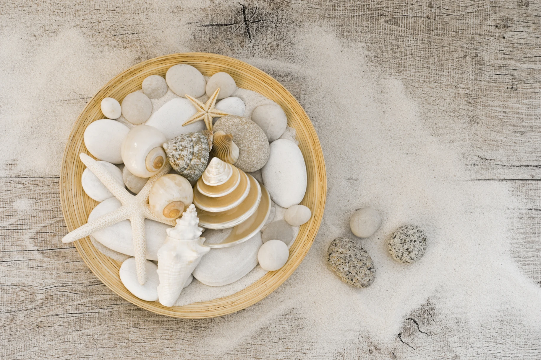 Maritime Still Life wallpaper - Happywall