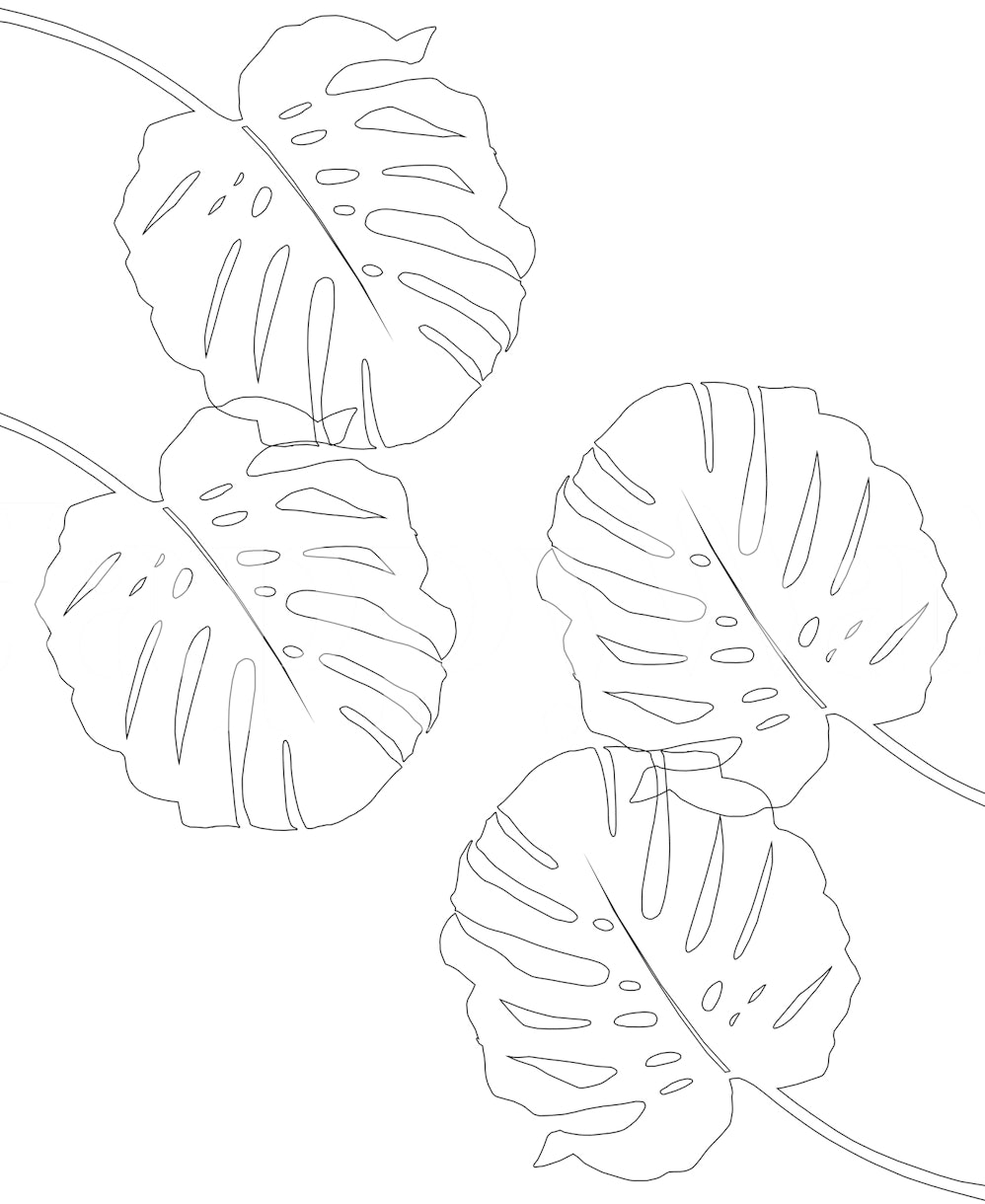 Monstera Finesse Line Art 2 wallpaper - Happywall
