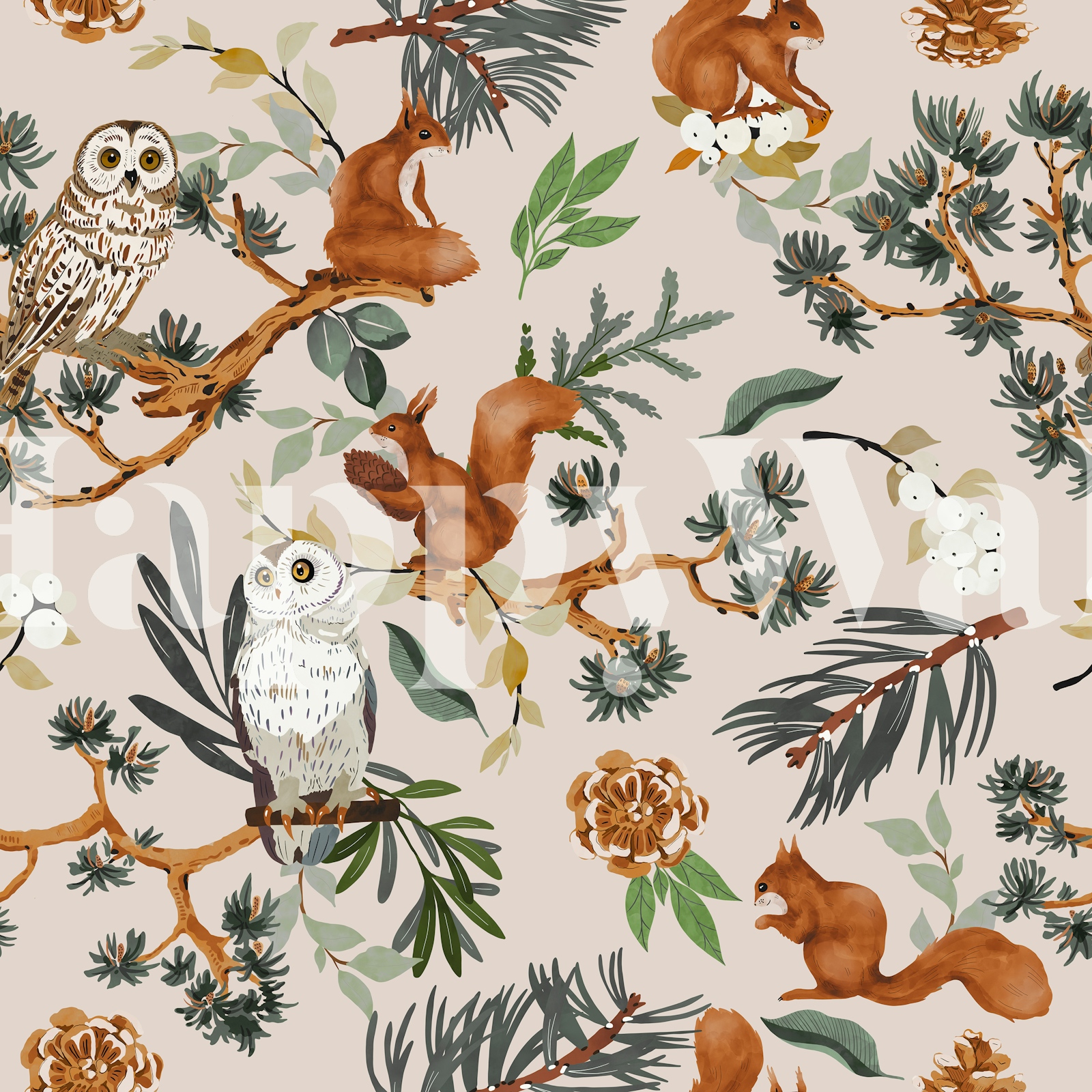 Woodland Animal Wallpaper with Owls and Squirrels