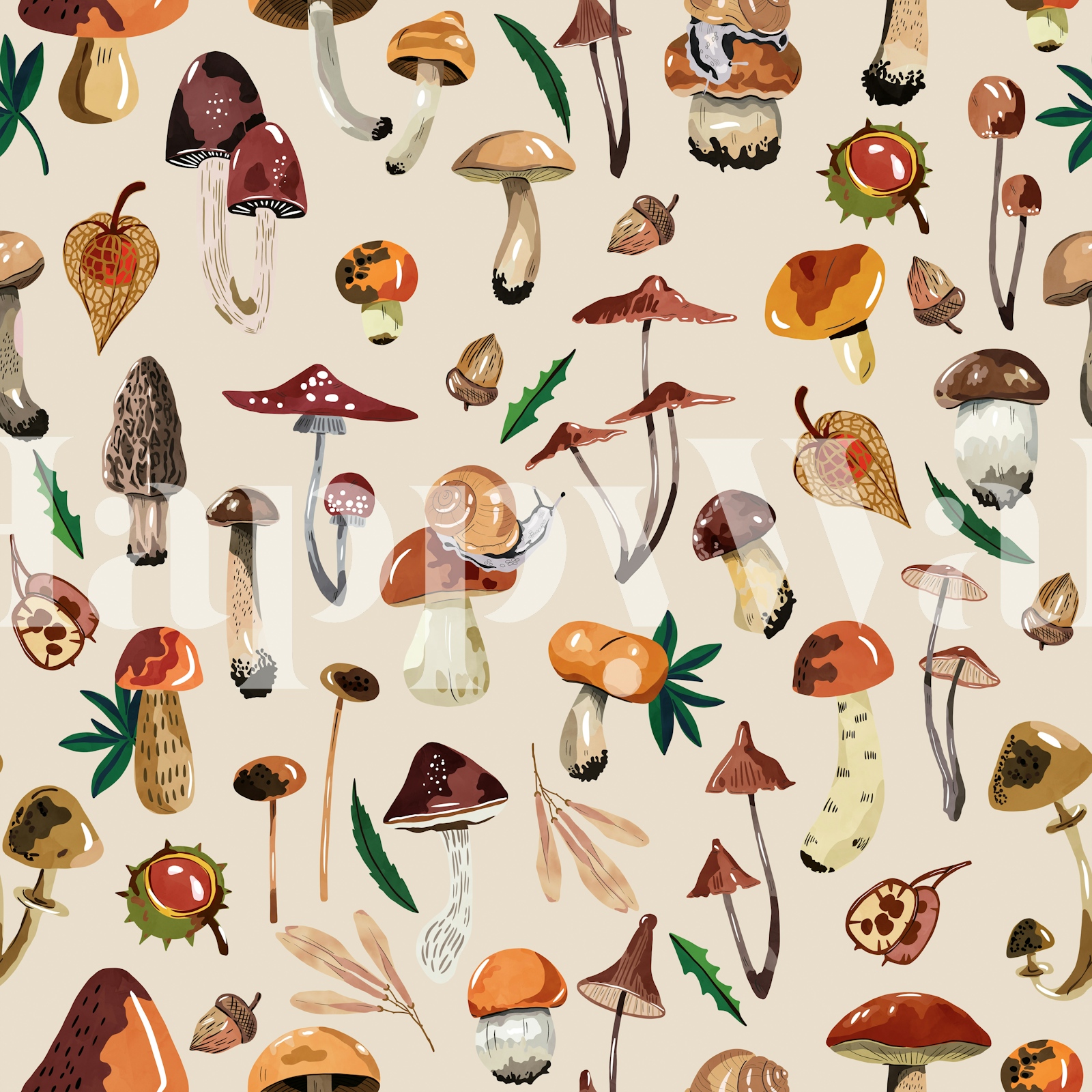 Colorful Fungi Pattern Wallpaper for Kids