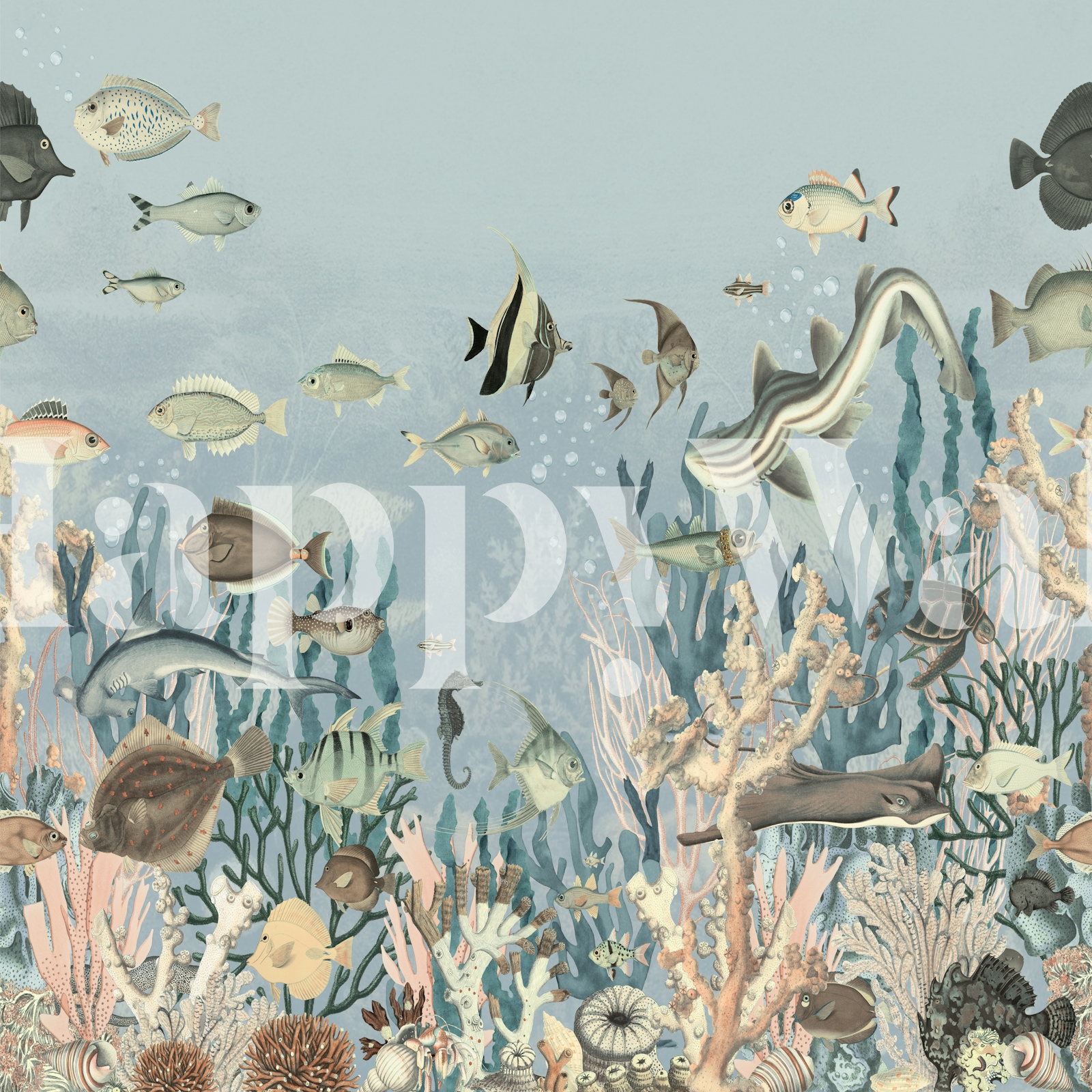 Underwater Sea Life Wallpaper for Kids Room