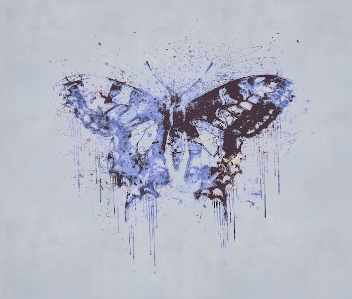 Crazy Butterfly Wallpaper | happywall.com