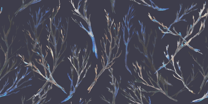 Mystical Branches in Midnight Wallpaper