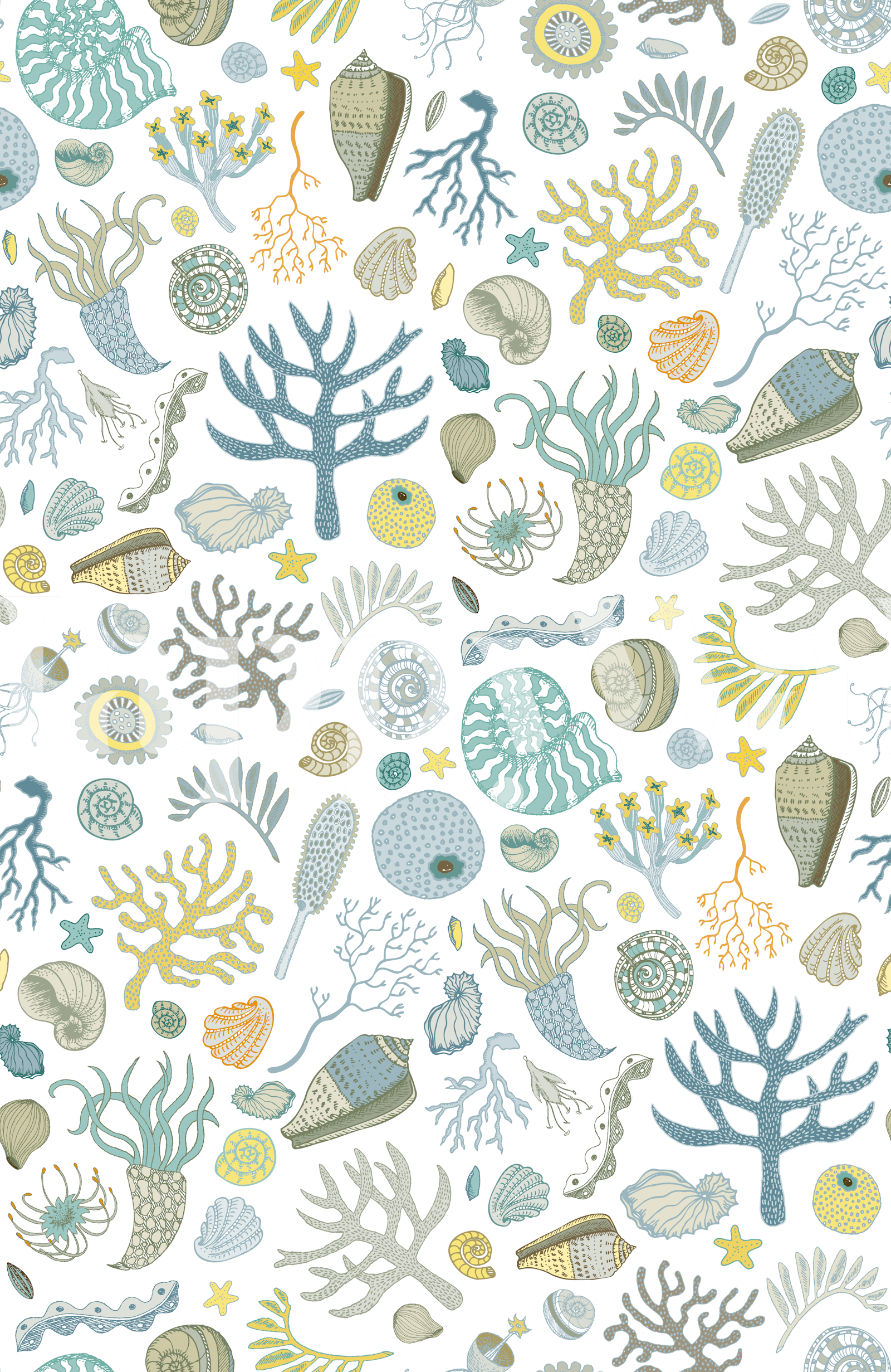 Coastal Shells Wallpaper | happywall.com