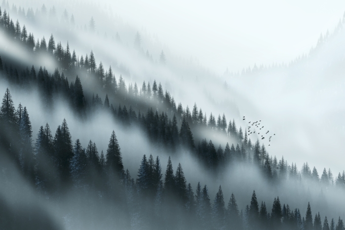 The enchanted valley - Wallpaper | happywall.com