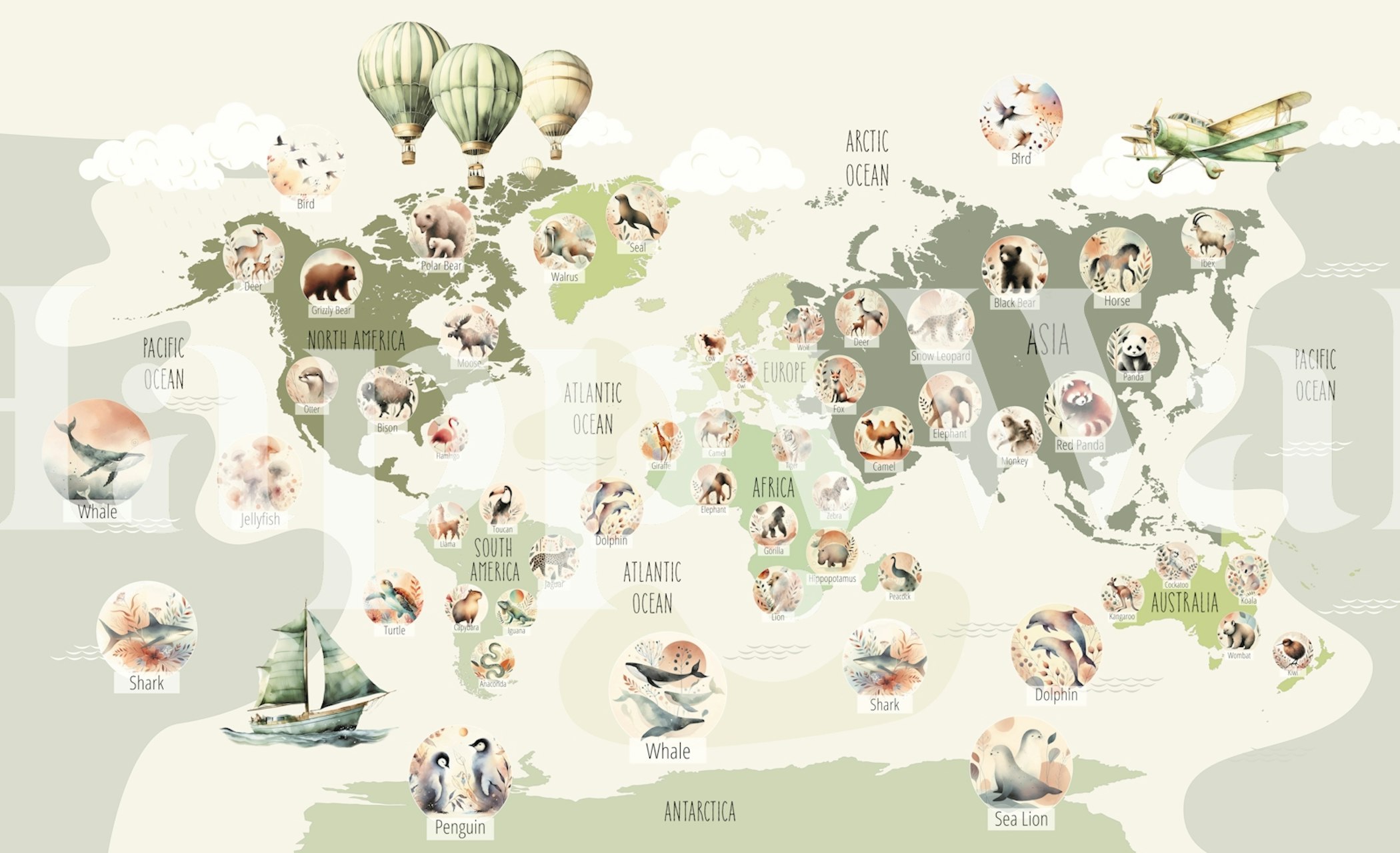 Green Wildlife Map Wallpaper - happywall.com