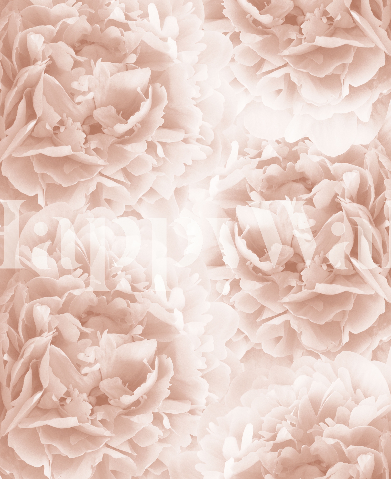 Soft Terracotta Floral Wallpaper for Elegant Rooms