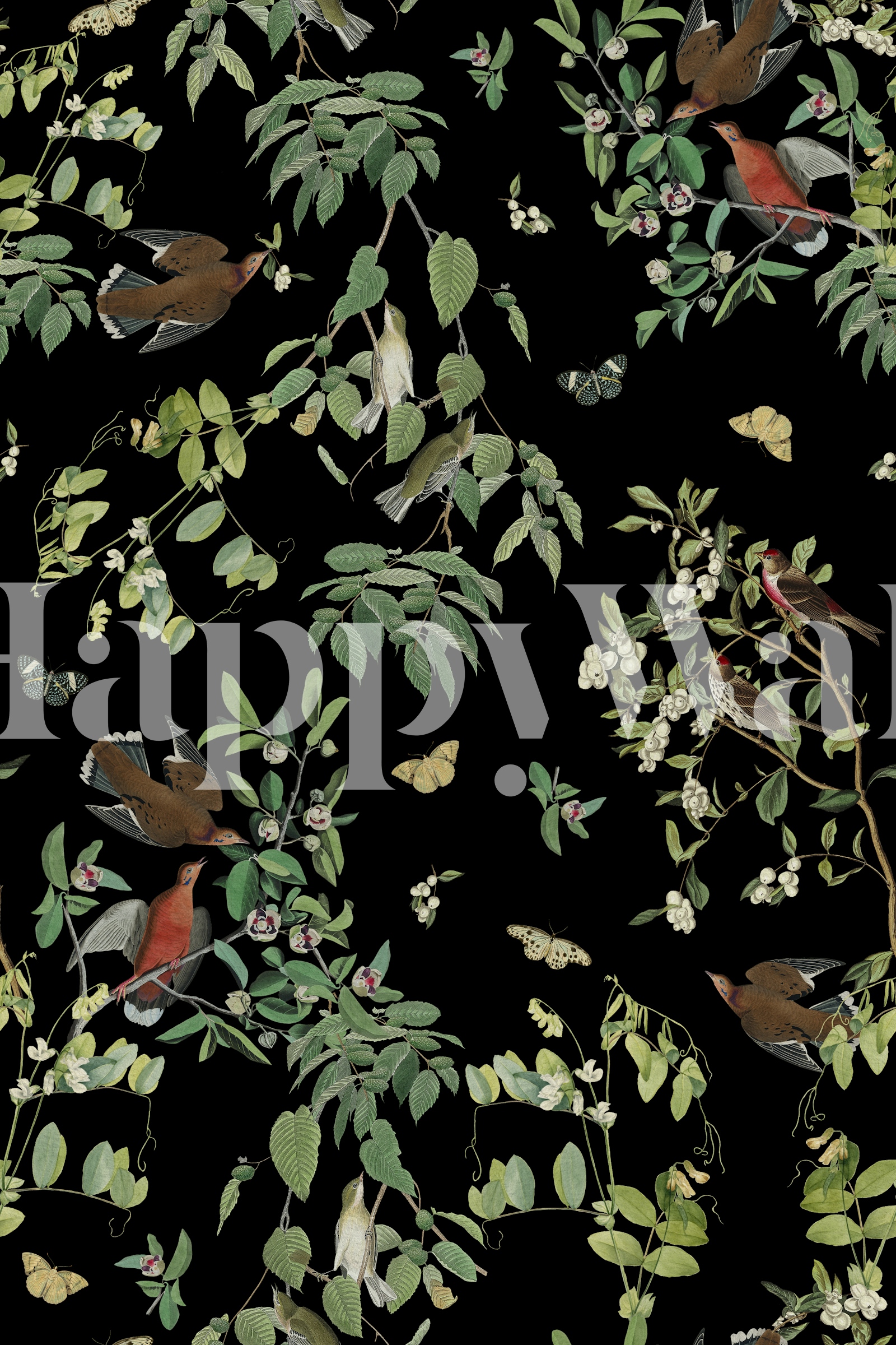 Floral Bird Wallpaper Black Velvet Design
