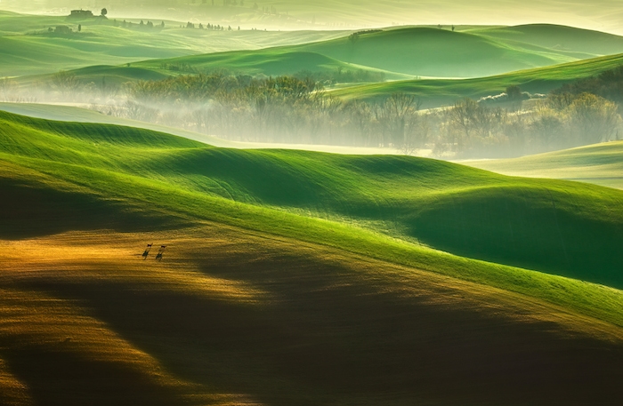 Italian Landscape Green Wallpaper