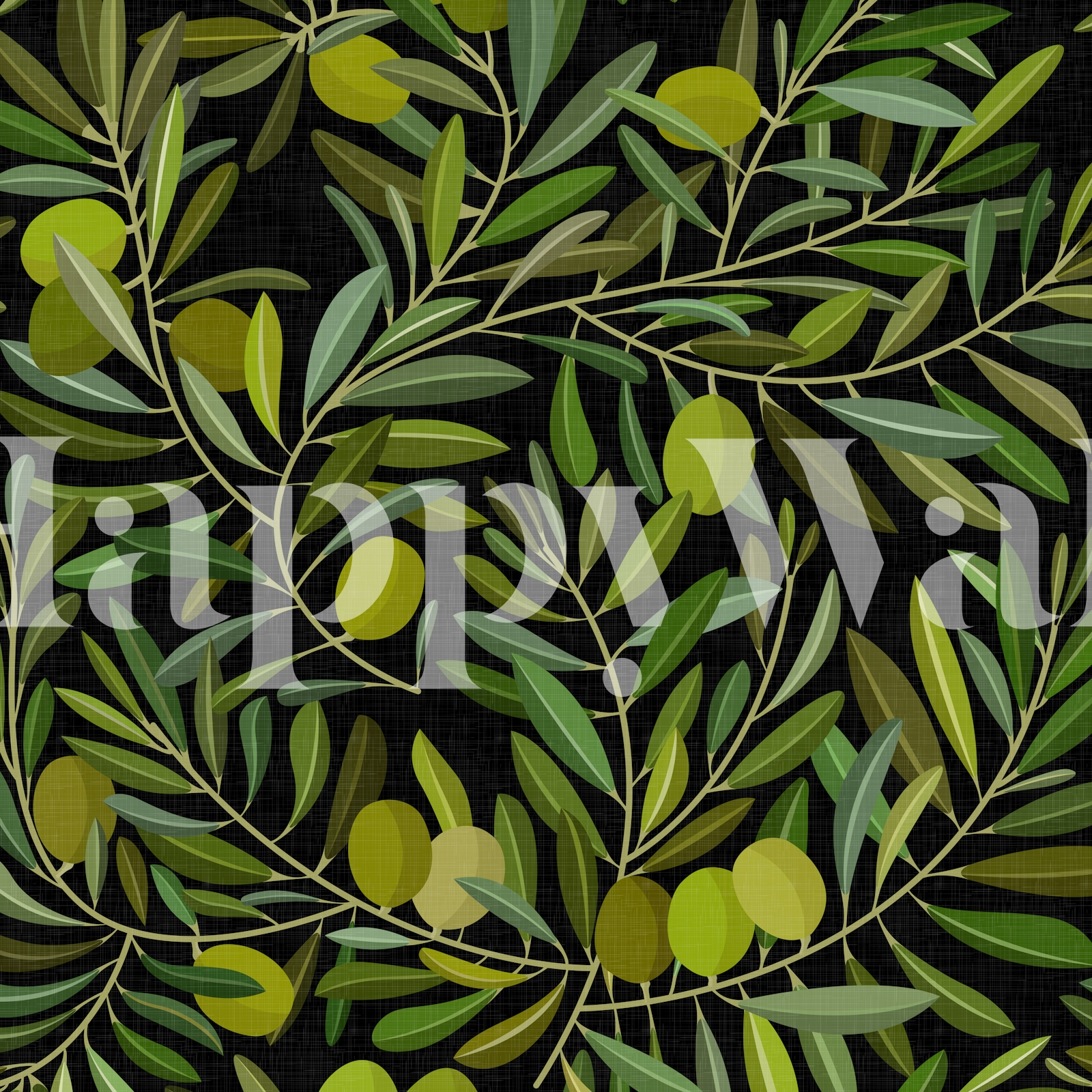 Olive Tree Leaf Wallpaper on Dark Background