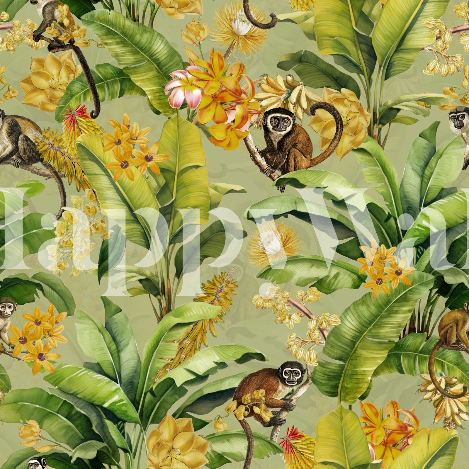 Tropical Jungle Monkey Wallpaper for Kids