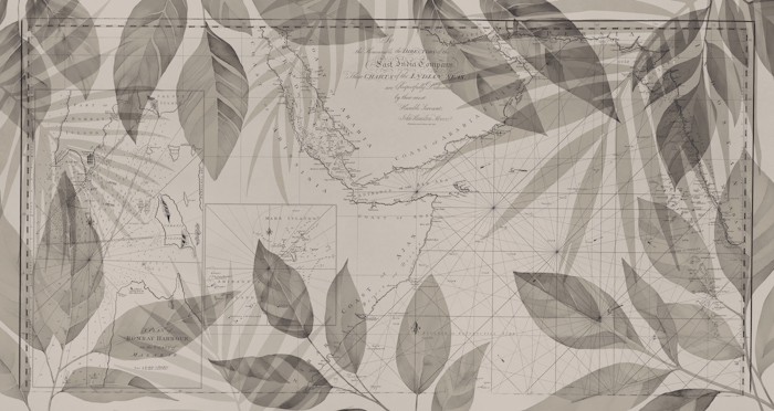 Vintage Floral Map Wallpaper