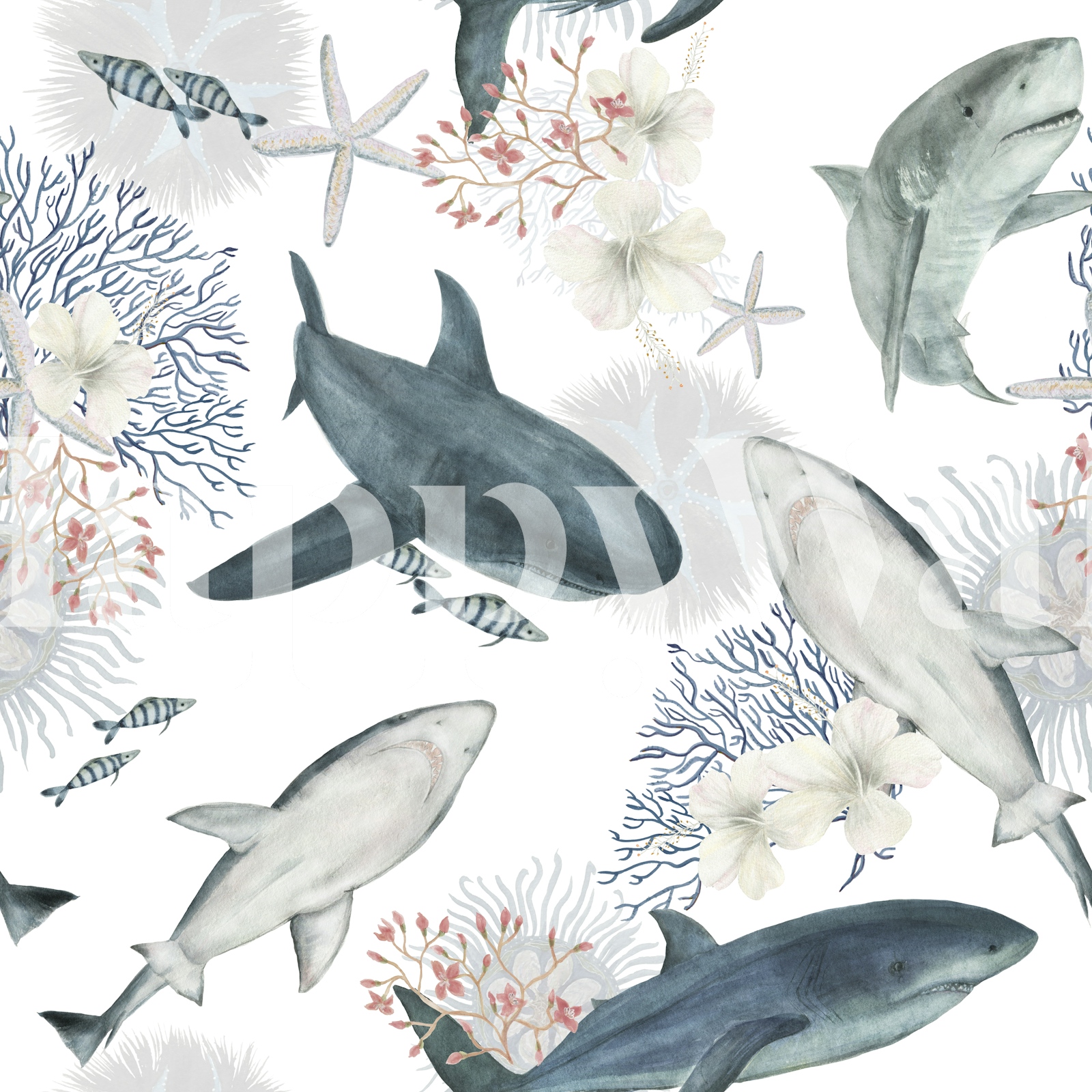Coral Reef Shark Wallpaper for Beachy Decor
