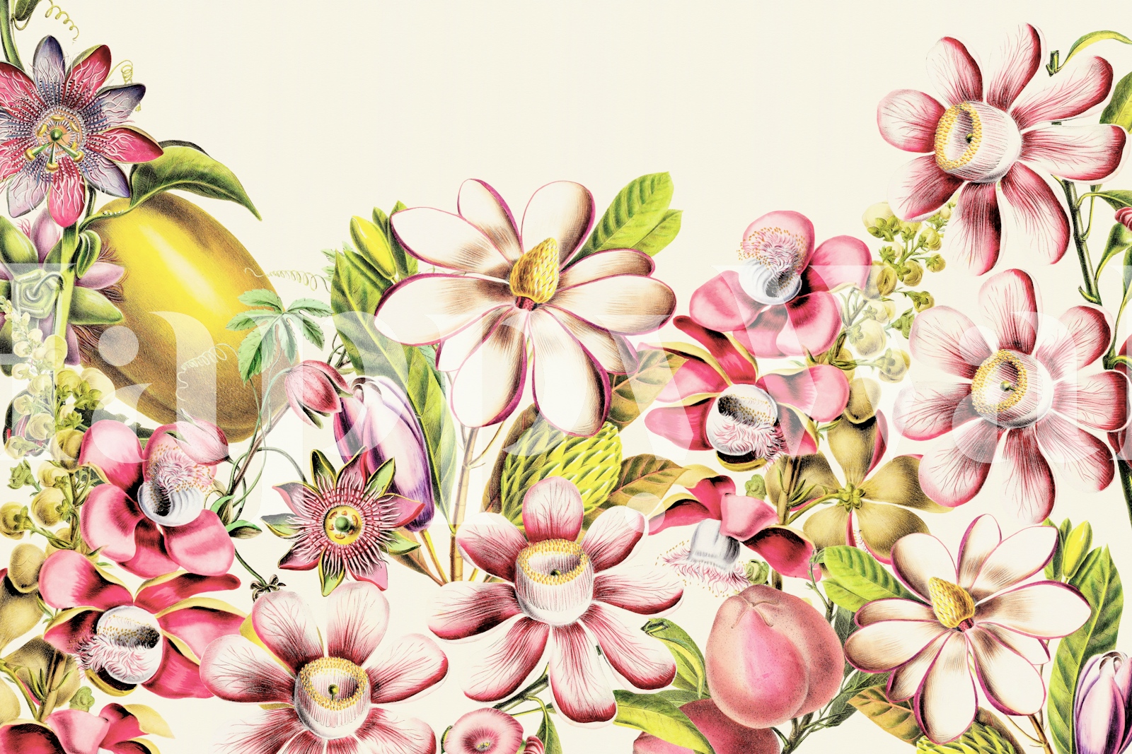 Pink Botanical Vintage Flower Paradise - Happywall