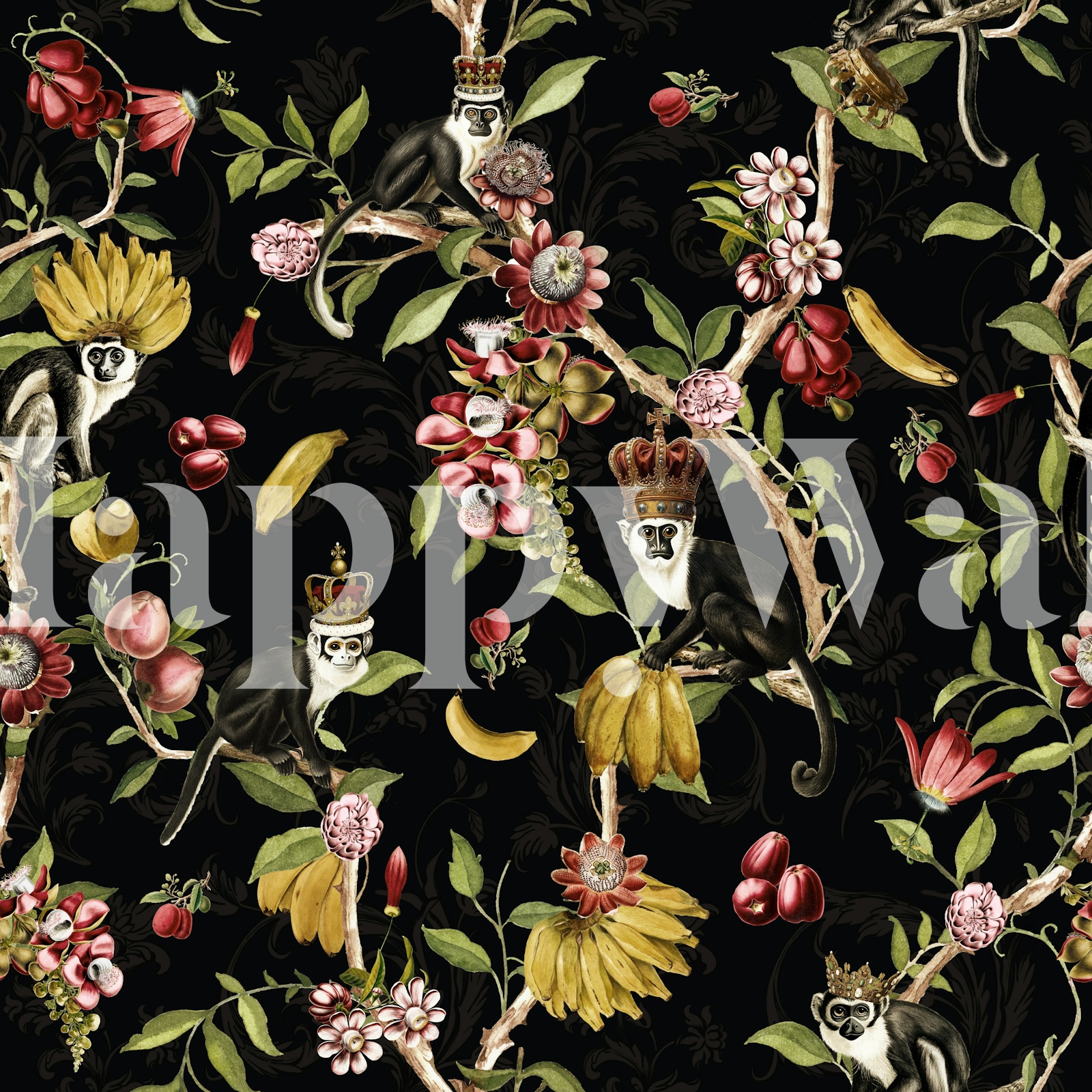 Royal Crowned Monkeys Jungle Vibes Black Wallpaper