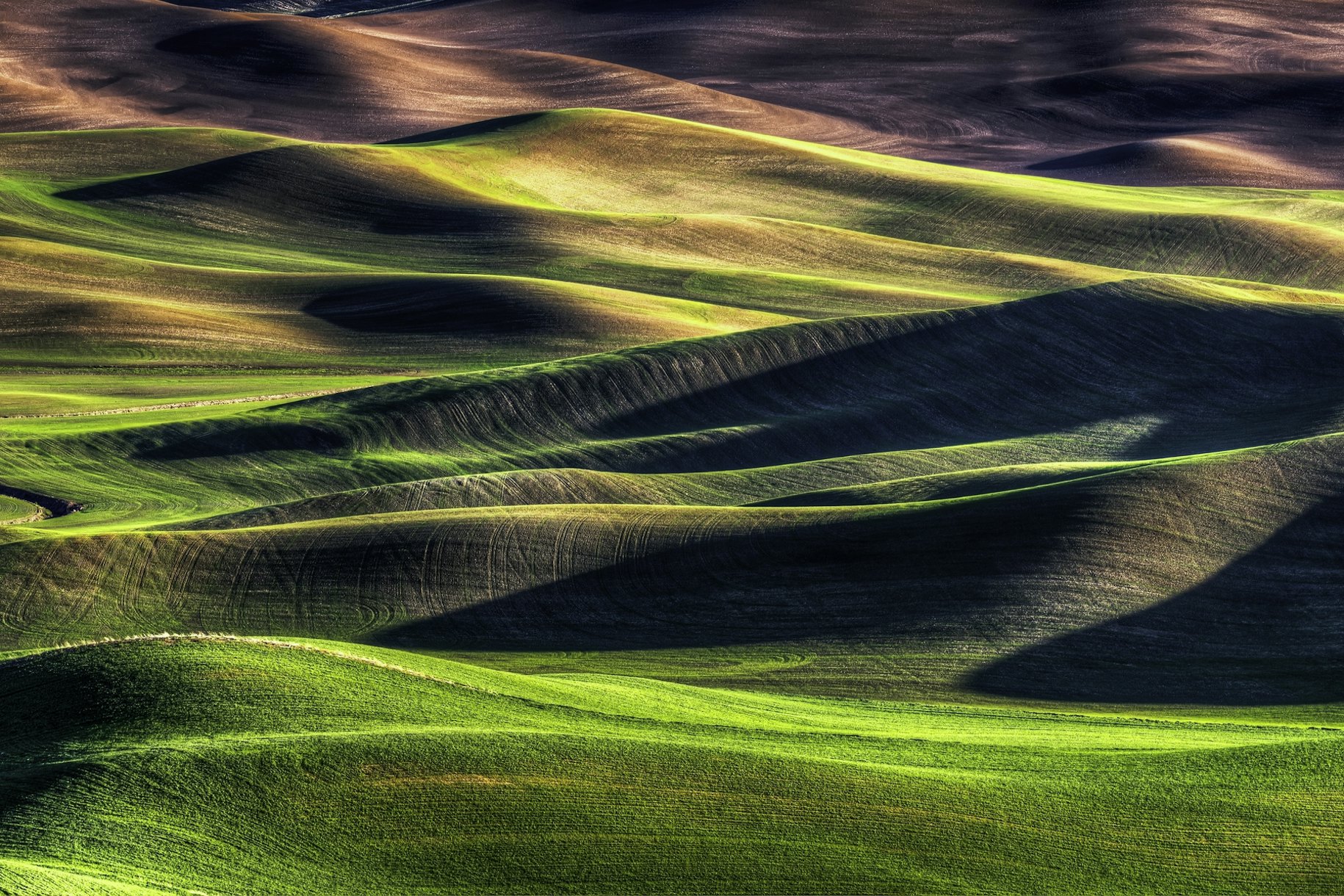 Spring Palette Wallpaper - Vibrant and Colorful | Happywall