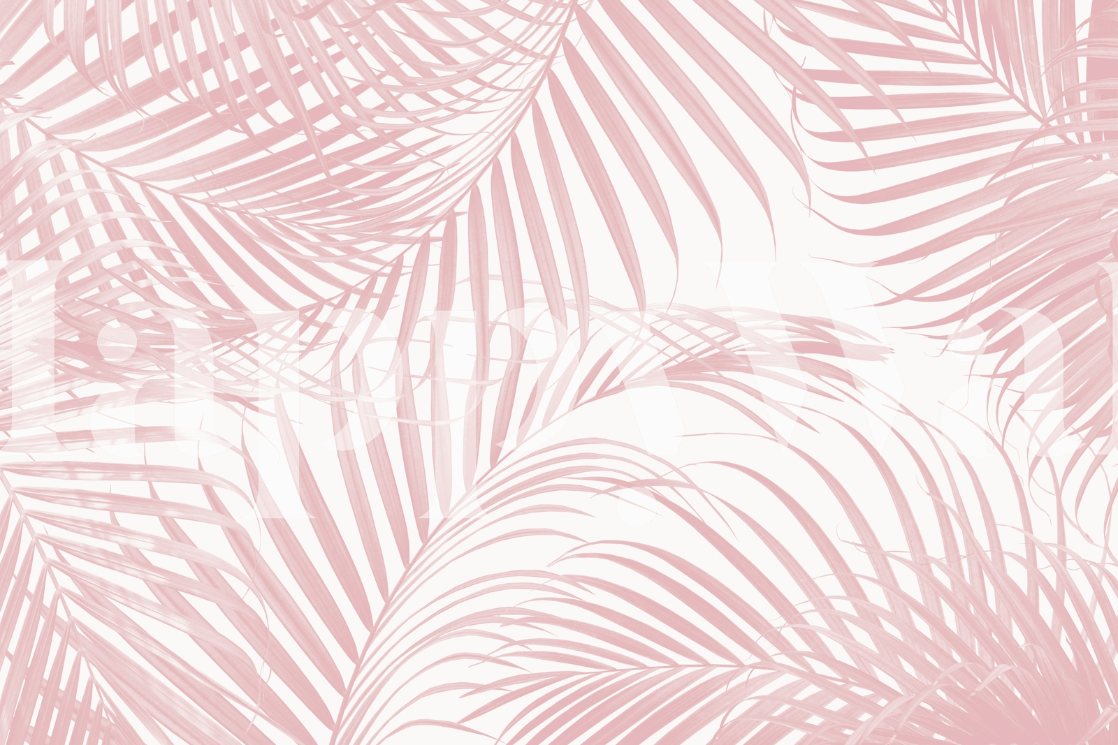 Blush Pink Caribbean Palm Jungle Wallpaper