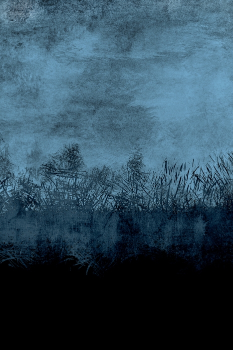 Midnight Mist Wallpaper - Happywall.com