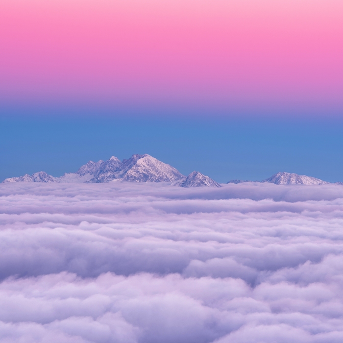 Pink Gradient Sky Wallpaper for Modern Decor