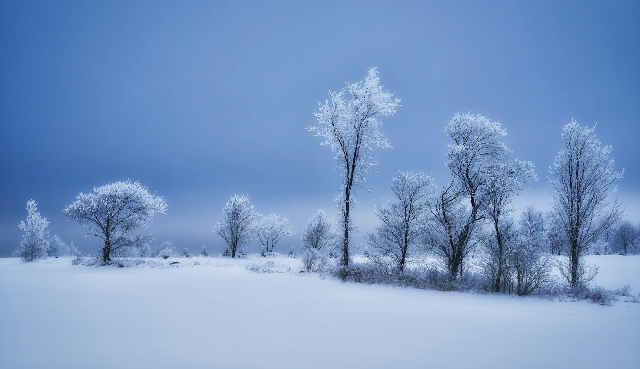Winterland Wallpaper - Mountain Landscape | Happywall