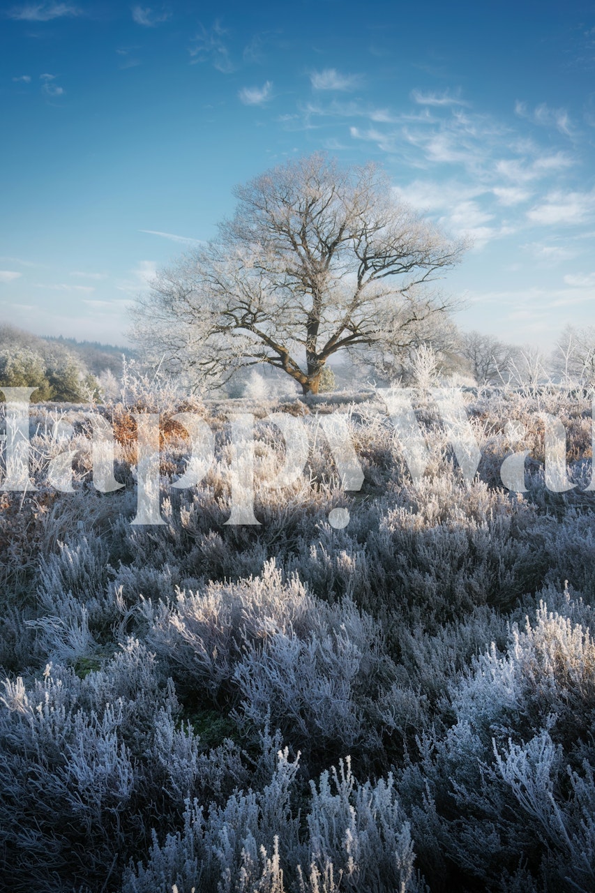 Ethereal Winter Scene Wallpaper