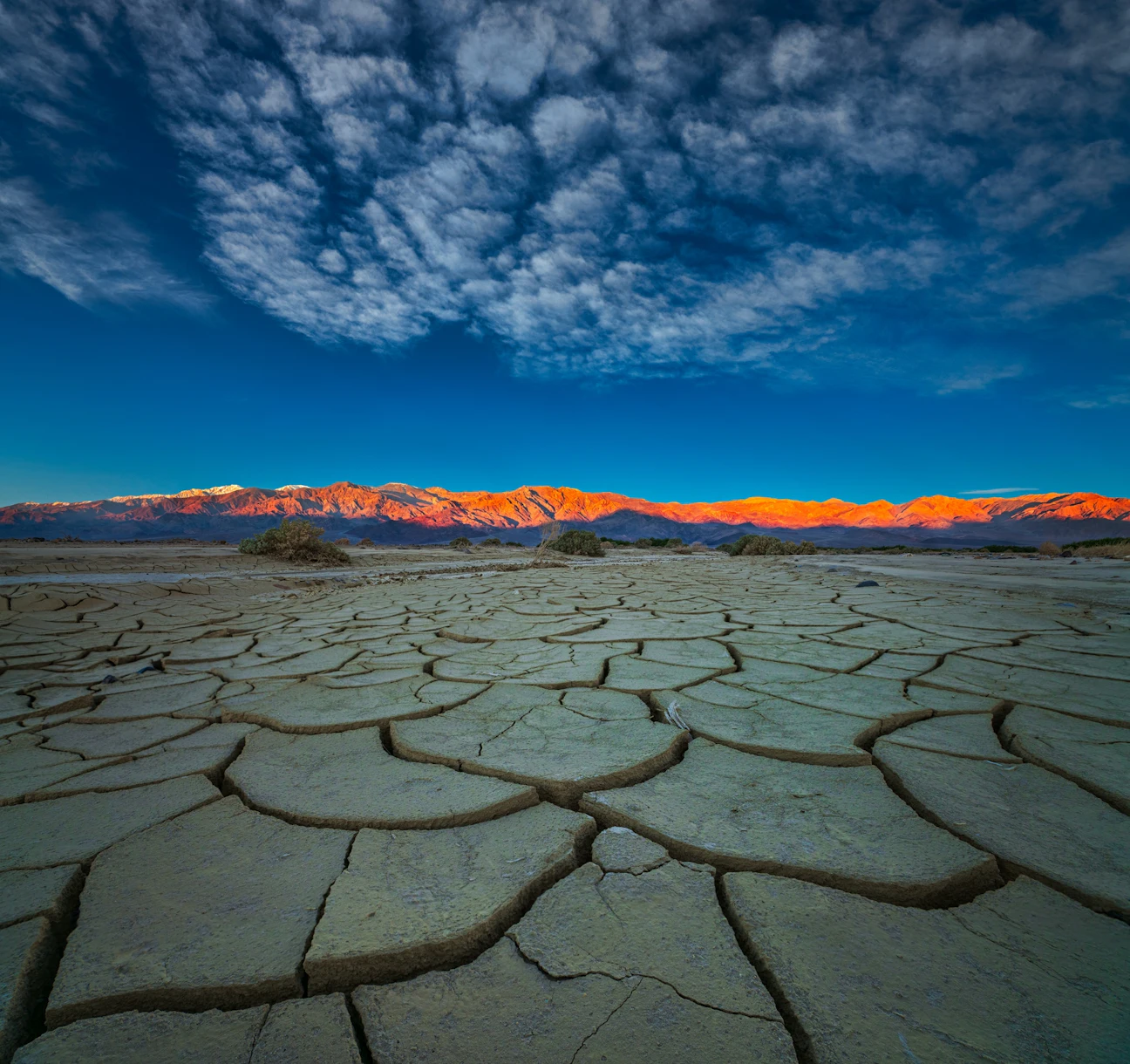 Dry Season wallpaper | Happywall