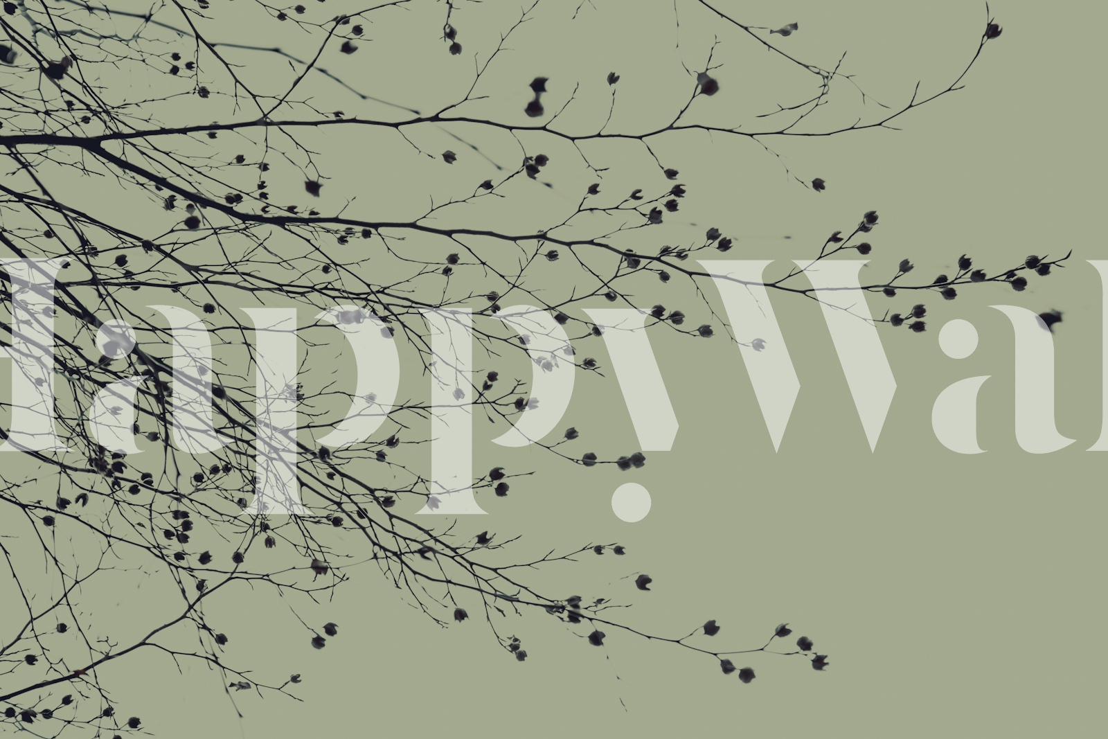 Mossy Green Tree Wallpaper | happywall.com