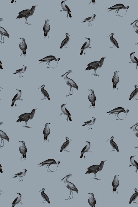 Blue Sky Flock Art Wallpaper | happywall.com