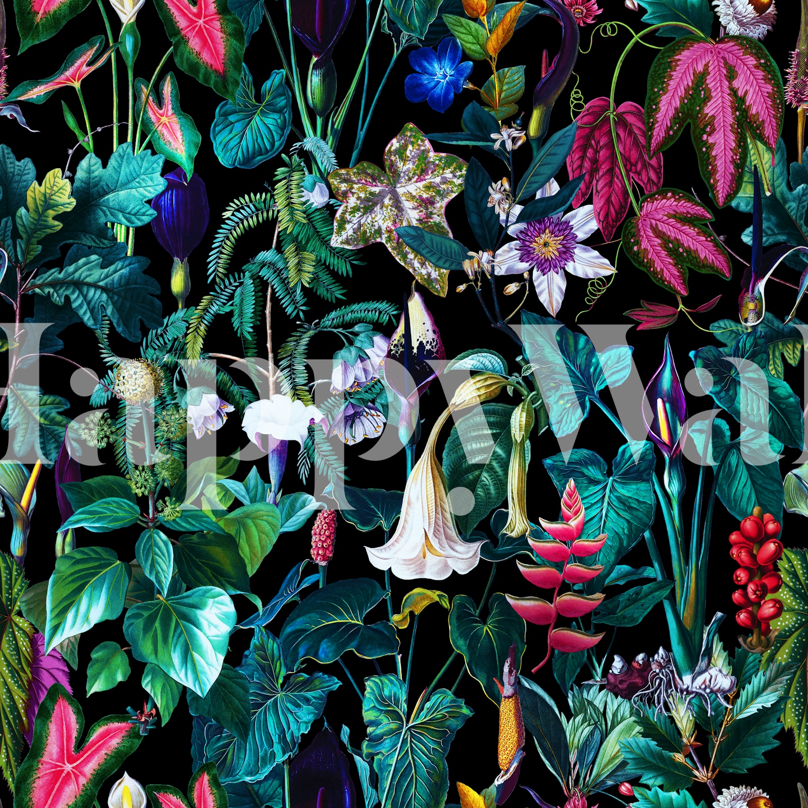 Tropical Magic Forest VI | Happywall