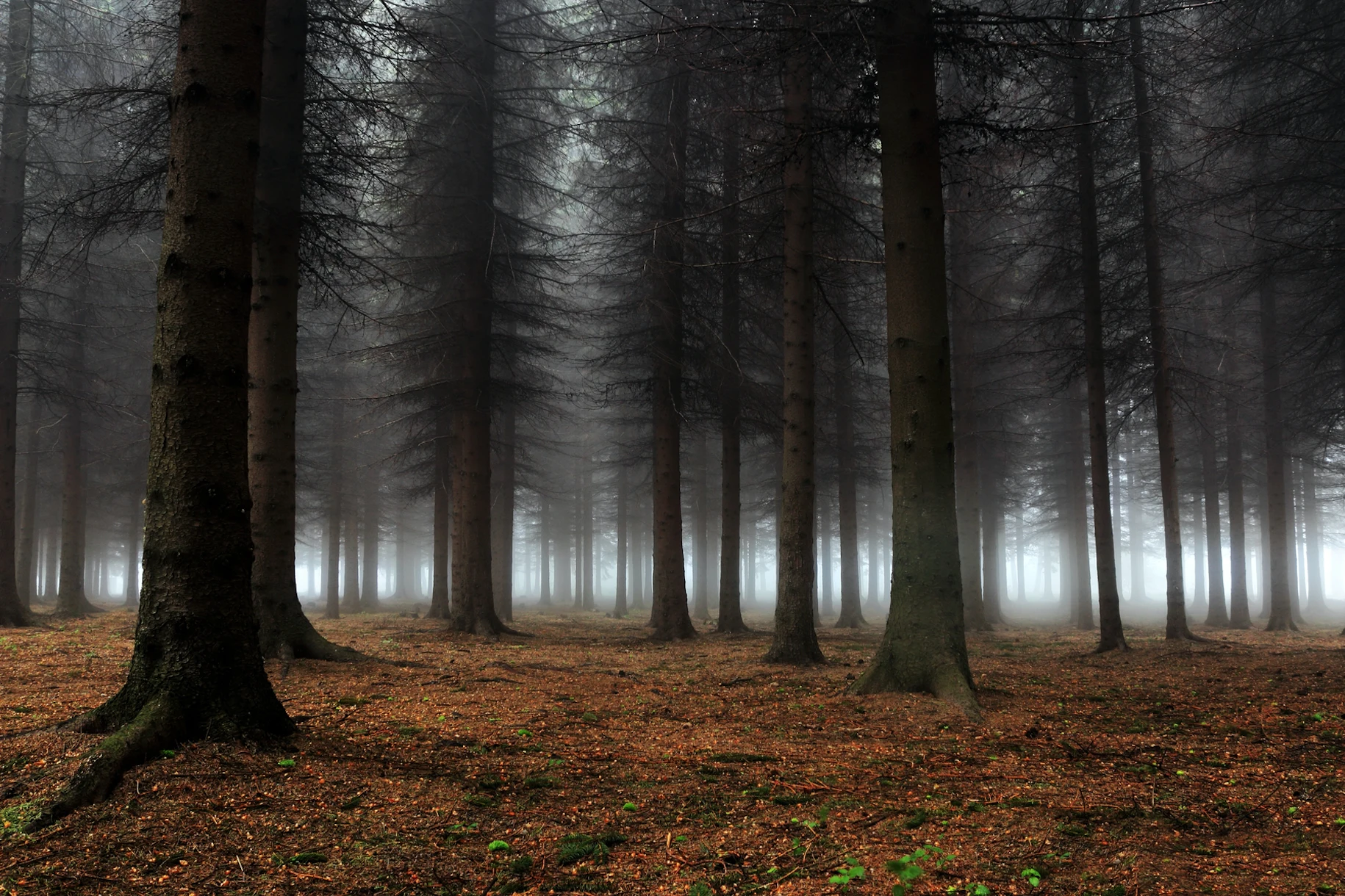 place of silence wallpaper | Happywall