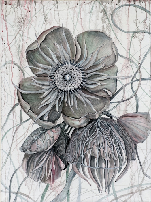 Floral Hellebore Wallpaper in Soft Gray Tones