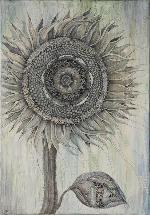 Magic sunflower Wallpaper - Happywall