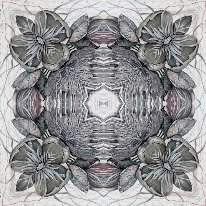 Hellebore Circle Wallpaper - Happywall