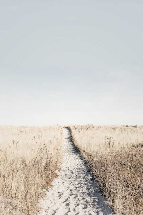 Coastal Path Beach Wallpaper
