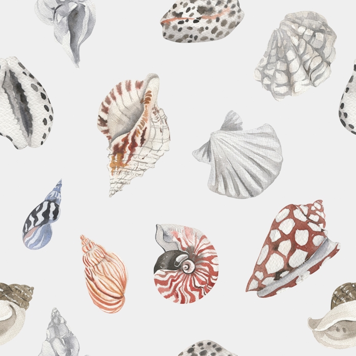 Coastal Shells Pattern Wallpaper | Happywall