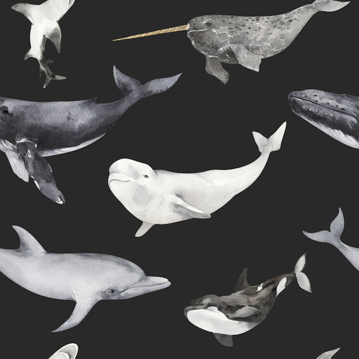 Whale Wallpaper - Deep Sea Pattern Design