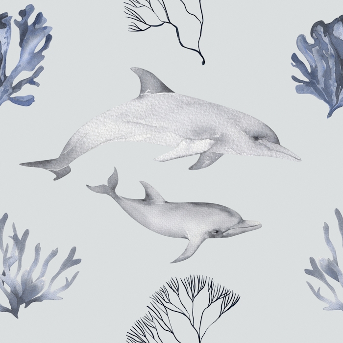 Cute Dolphin Wallpaper for Kids Rooms